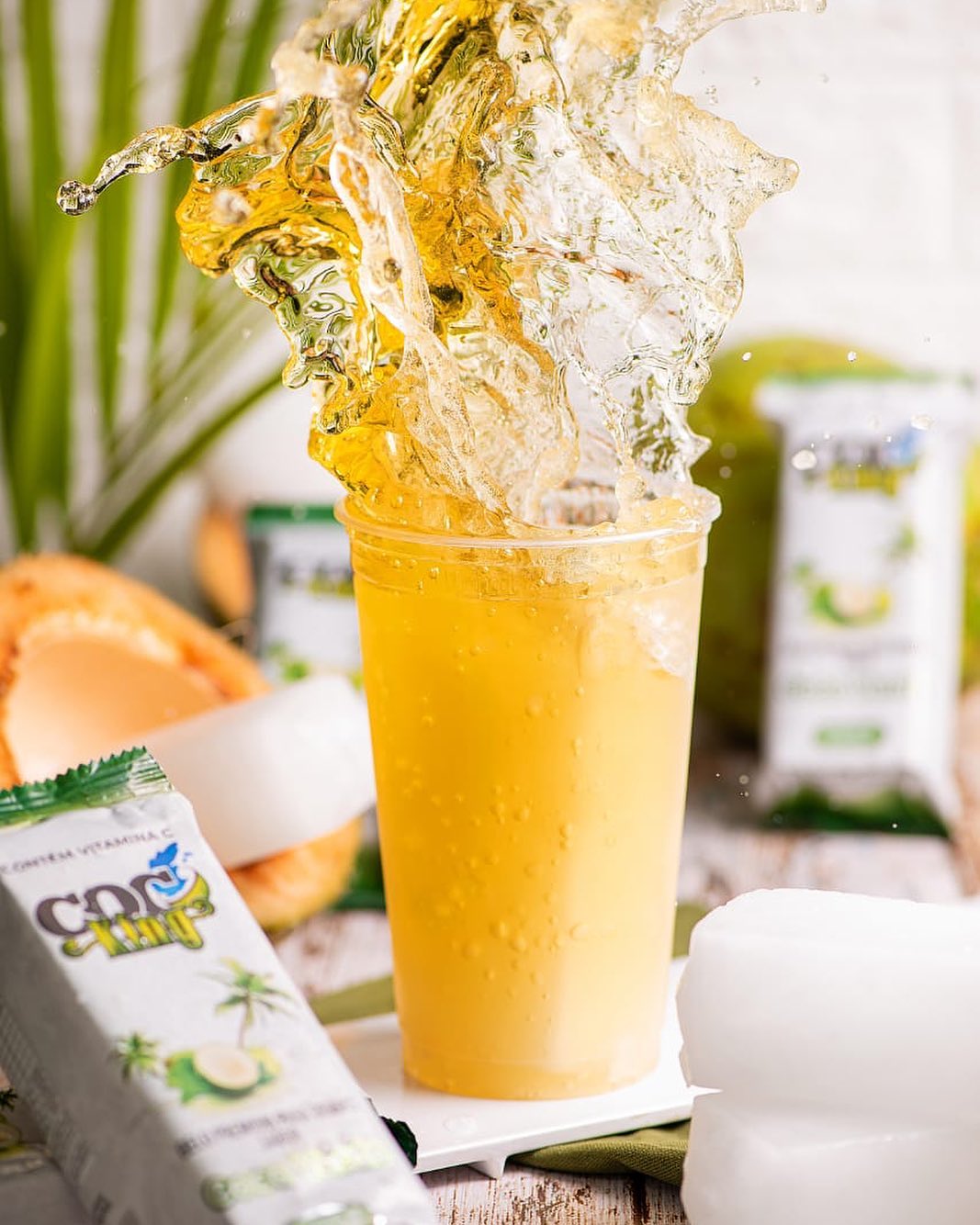 Seja um Revendedor - CocoKing Gelo Rei